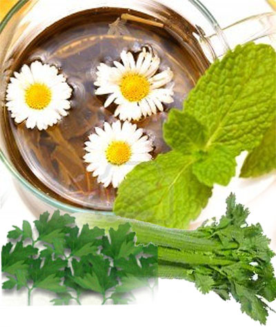 Apigenina planta natural, reduce el riesgo de cancer - Salud y Natural